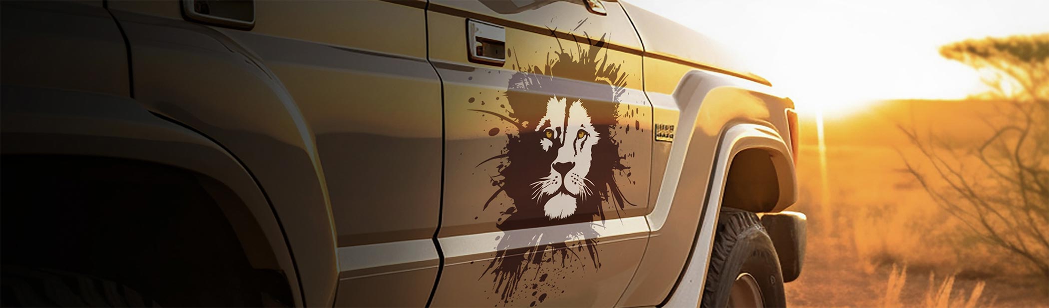 Wildlife Safari | Kruger Park Accommodation | Naledi Game Lodge